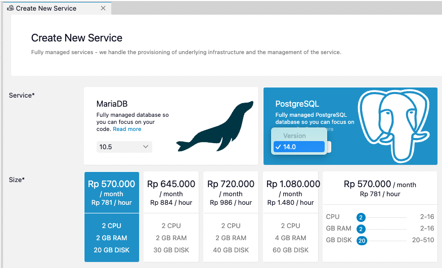 Database Manage Service – DimensiCloud